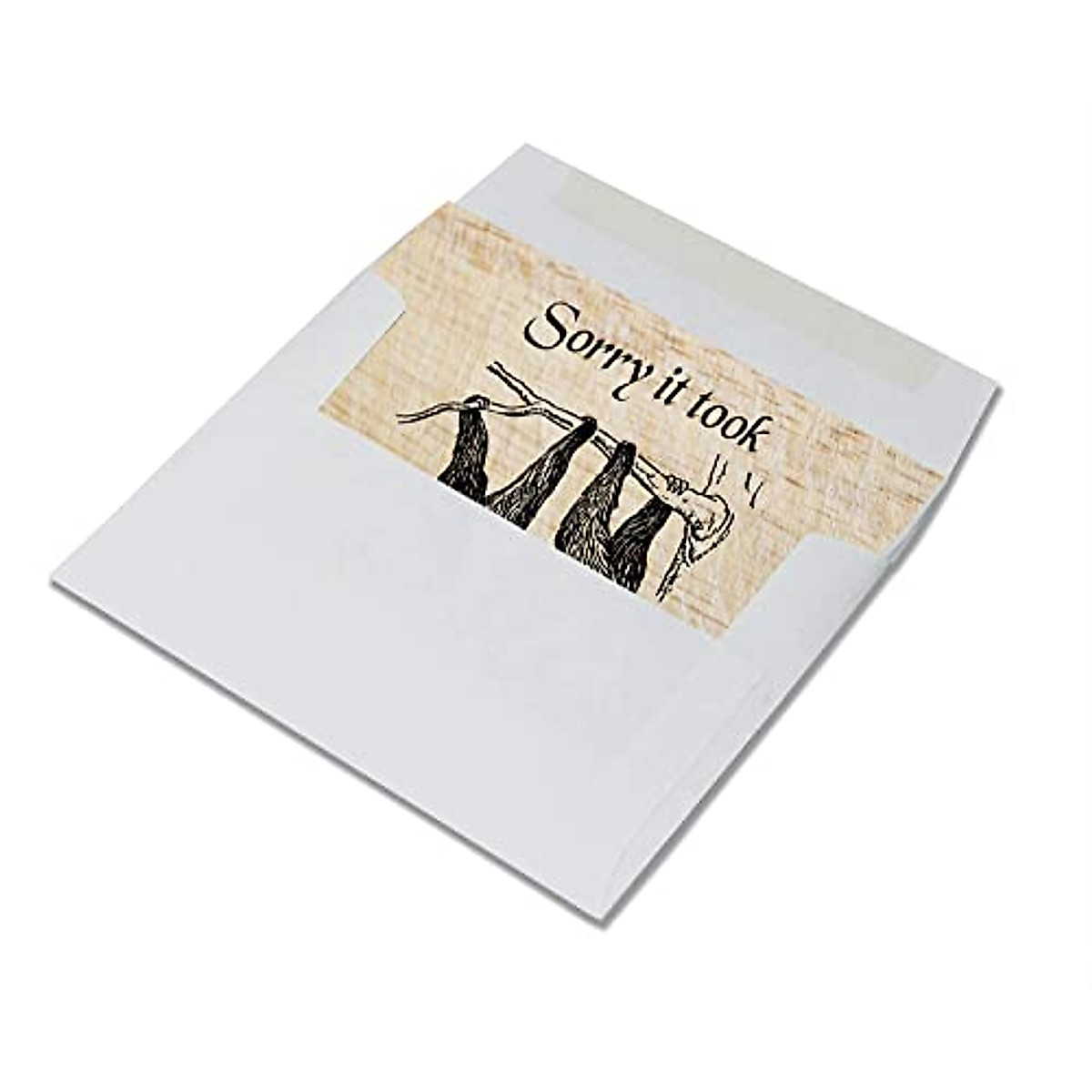 Small World Greetings Sorry It Took So Long Sloth Greeting Card 12 Count - Blank Inside with Envelopes - A2 Size (5.5"x4.25") - Belated Birthday, Late Shipment, Apology, Belated Thank You