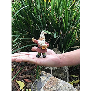 GlitZGlam Happy Gnomes Beer Drinking Buddies! - 5-Piece Garden Gnome Set for The Miniature Fairy Garden
