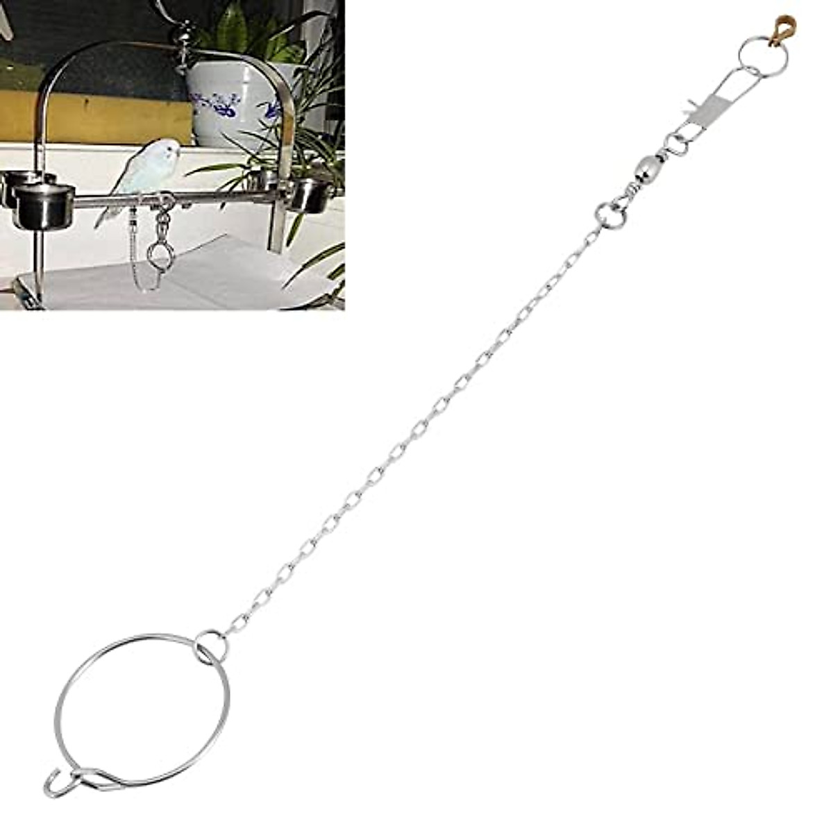 Bird Anklet Chain Parrot Foot Ring Stainless Steel Bird Leash Parrot Opening Activity Ring Bird Stand Anklet Pet Bird Supplies for Nyasa Lovebird Cockatiel Cockatoo Sun Conure Monk Parakeet(5.5mm)