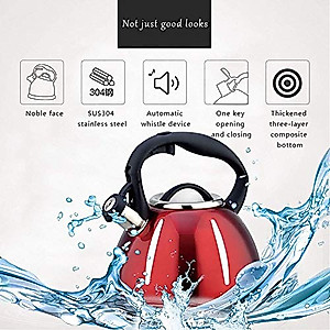 NOGRAX Tea Kettle Stovetop Whistling Heat Tea Kettle Stainless Steel Whistling Teapot Resistant Handle Suitable for Brewing Coffee and Milk 3L Large Capacity Pot (Color : Green)