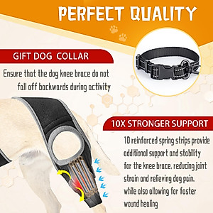 Dog ACL Knee Leg Brace, Dog Hip Brace for Front Torn and Back ACL Hind Rear Legs, Comfortable & Adjustable Tailwind Dog Hip Dysplasia Brace for Dog Arthritis, Luxating Patella with 10X Support (XL)