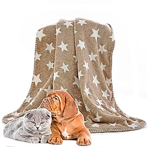 LeerKing Dog Blanket Double Layer 30 x 40 Inches, Micro Fleece Plush Warm Puppy Blanket Bed Cover Protection Pet Cat Kitten Flannel Throw Blanket