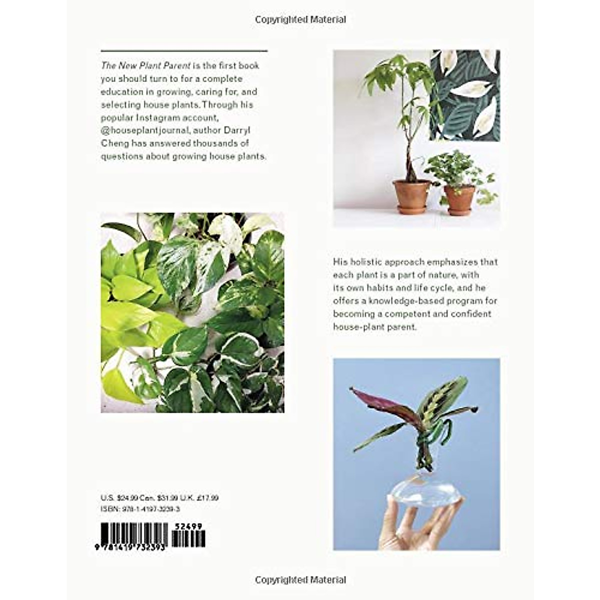 The New Plant Parent: Develop Your Green Thumb and Care for Your House-Plant Family