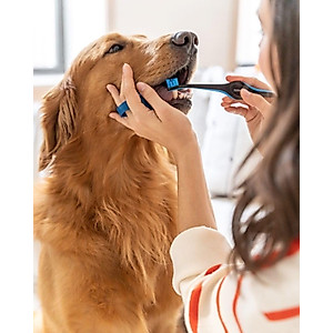 Dog Toothbrush and Bite Block Assistant (Protects Hand and Fingers) Combo Pack by Paw Ready for Puppies' Dogs and Cats Medium Size for use with Pets Between 15-85 lbs. (7-38.5 Kg).