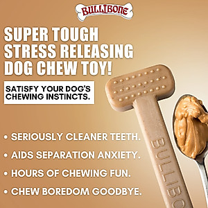 Bullibone All Stars XL Bundle - Improves Dental Hygiene, Easy to Grip Bottom, Four Delicious Flavors
