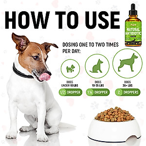 Antibiotic for Dogs | Dog Antibiotic | Antibiotics for Dogs | All Natural Antibiotics | Pet Antibiotics | Organic Ingredients | 2 oz