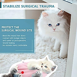SUNFURA Cat Recovery Suit for Abdominal Wounds Spay After Surgery, Professional Breathable Surgical Body Suit for Cats Dogs Neuter, E-Collar Alternative Pet Anxiety Vest Shirt Anti Licking (M, Pink)