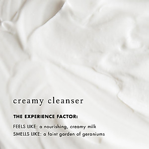 Bioelements Moisture Positive Cleanser - Rich Facial Cleanser for Dry Skin - Vegan, Gluten Free - Never Tested on Animals, 6 Fl Oz (Pack of 1)