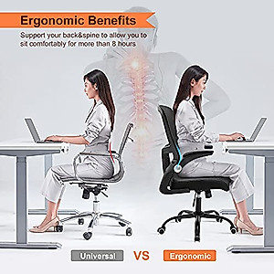 Nobofeeling Home Office Chair, High Back Desk Chair with 5 Years Warranty and Adjustable Lumbar Support, Computer Chair with Soft Cushion, Ergonomic Design Swivel Task Chair for Pain Back