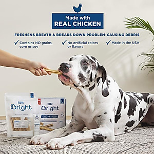 Bark BARK Bright Large Dental Kit for Dogs, 26.29 oz,31 Piece Set