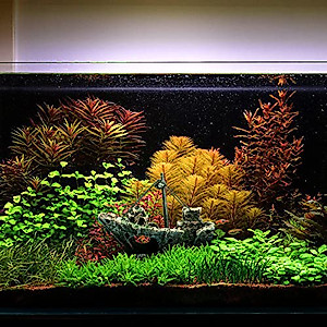 Raeasily Fish Tank Decoration - Aquarium Accessories,Shipwreck Decor,Resin Material Sunken Ship Decorations for Fish Favors, Multi, 10 * 10