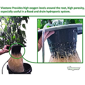 Viagrow VS10 Viastone Expanded Clay Pebbles, 10-Liter Rocks, Premium Growing
