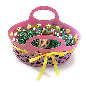 Greenbrier Plastic Easter Egg Basket with Handle, Easter Basket for Egg Hunt – Pink, Purple, Blue, Yellow Set of 4