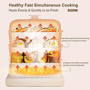 bathivy 19QT Electric Food Steamer for Cooking, 3 Tier Vegetable Steamer with Appointment and Timer, Digital Steamer for Fast Simultaneous Cooking, 800W Heating, Auto Shutoff & Boil Dry Protection