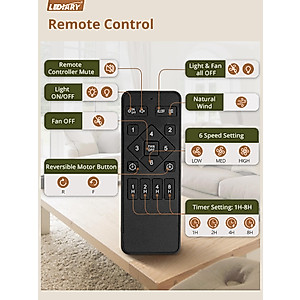 LEDIARY Ceiling Fans With Lights Remote Control, 22 Inch Farmhouse Caged Flush Mount Ceiling Fan Low Profile, Small Industrial Rustic Quiet Ceiling Fan With Remote For Bedroom, Kitchen, Indoor Home