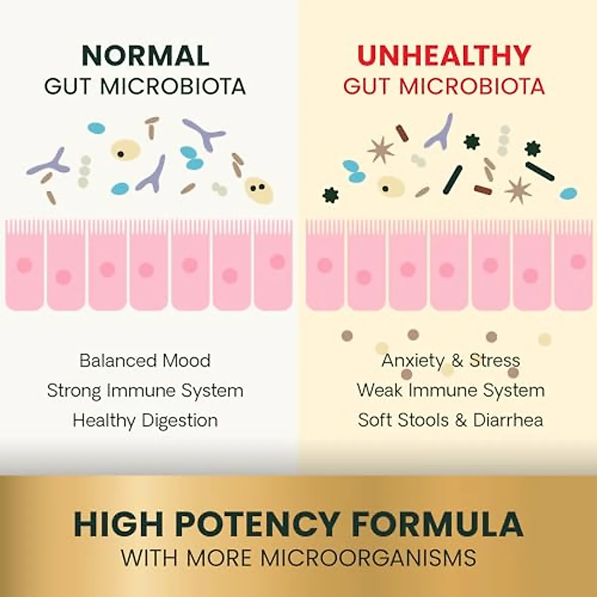 VetriScience Extra Strength Gut Health Easy-Open Capsules, Probiotic & Prebiotic Digestive Supplement for Dogs & Cats, Digestion, Gas & Diarrhea, Immune Support, 7.5 Billion CFU Per Capsule, 120 Count