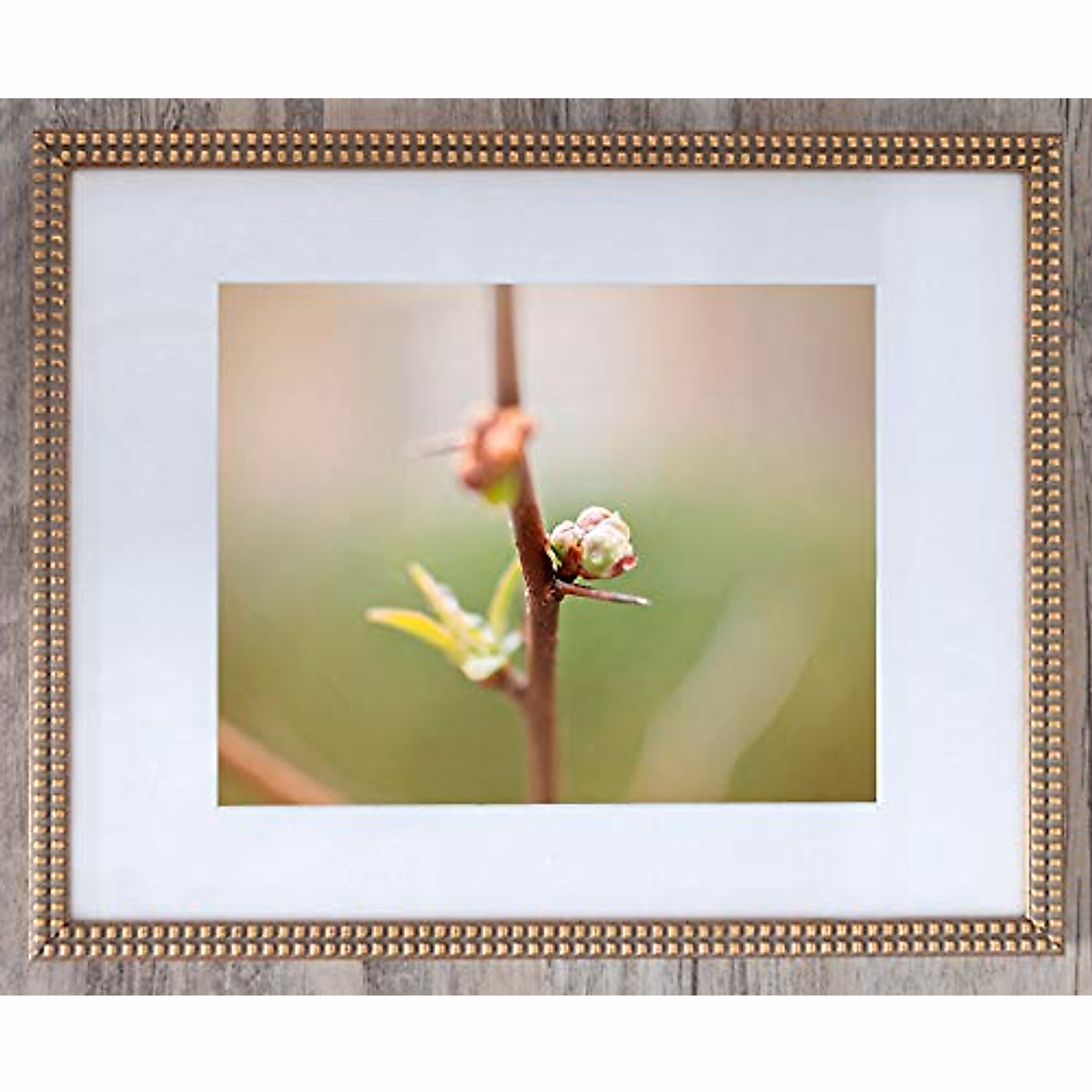 Raindrop on Branch, Limited Edition 1, Photo 2 of 4 - Framed Office Art- Inspirational 24x30-with 20x24-mat