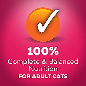 Purina Friskies Wet Cat Food, Prime Filets With Salmon & Beef in Sauce - (24) 5.5 oz. Cans