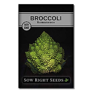 Sow Right Seeds - Broccoli Seed Collection for Planting - Individual Packets Broccoli Di Ciccio, Romanesco, and Waltham 29 Non-GMO Heirloom Seeds to Plant an Outdoor Home Vegetable Garden