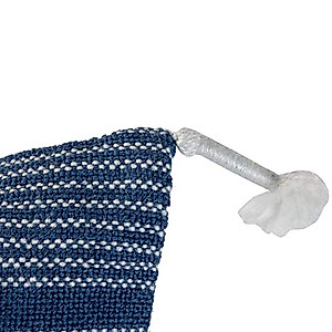 Foreside Home & Garden FIPL09255 Blue Decorative Striped Woven 20x20 Outdoor Throw Pillow with Hand Tied Tassels