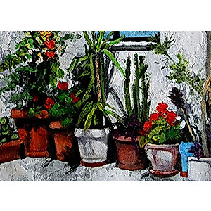 La Ventana Azul, Villa Courtyard Flwer Pots By Internationally Renowned Artist Yary Dluhos