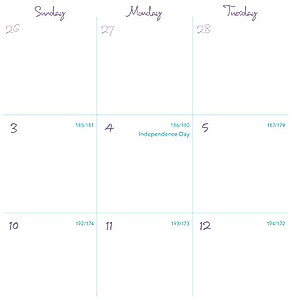 AT-A-GLANCE Academic Year Monthly Planner/Appointment Book, July 2016 - June 2017, 8-1/2"x11", Design Selected for You May Vary (183-900A)