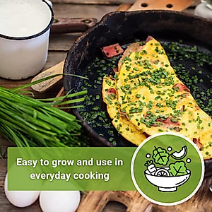 Sow Right Seeds - Chives Seed for Planting - Non-GMO Heirloom; Instructions to Plant and Grow Kitchen Herb Garden, Indoor or Outdoor; Great Garden Gift (1)