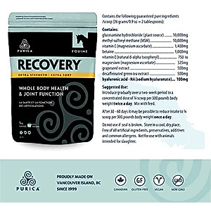 Recovery EQ with Hyaluronic Acid, 2.2 lbs (1 Kg)