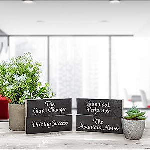 JennyGems Employee Recognition Gifts, Employee Appreciation Gifts Recognition Coworkers, Motivation Gifts for Coworkers, Team Gifts, Employee Thank You Gifts Appreciation (Achievements/Recognition)