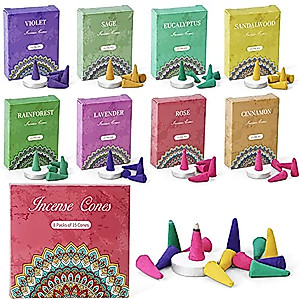 Incense Cones, Assorted Scented Incense Cones with Holder, Incense Gift Set for Mothers Day, Rose, Sage, Lavender, Violet, Cinnamon, Eucalyptus, Sandalwood, Rain Forest, 120 Cones Total