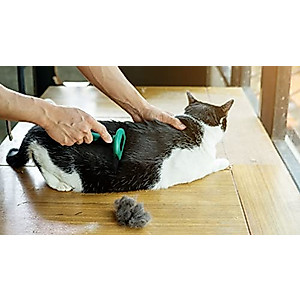 Ruff 'N Ruffus Deshedding Brush for Dogs & Cats - Reduces Shedding by up to 95% with Detachable Head & Non-Slip Grip, Comes with Free Nail Clippers, Suitable for All Breeds