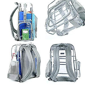 SMARTY Heavy Duty Clear Backpack V6 Durable Transparent See Through Bag (Medium, Gray)