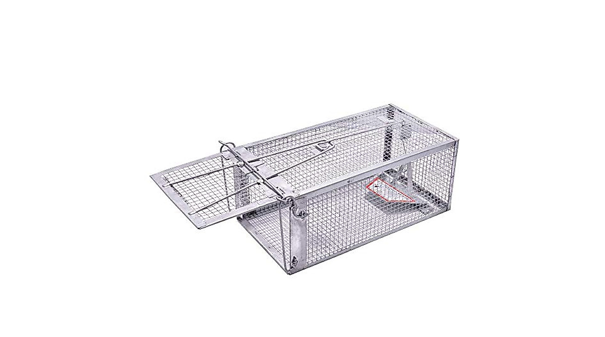 Humane Rat Trap - Catch & Release Rodents Safely