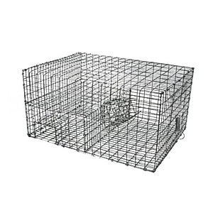 WCS™ Multi Catch Sparrow Trap
