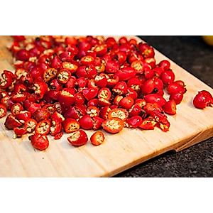 1216-Puppy Rose (Rosa Canina) Seeds by Robsrareandgiantseeds UPC0764425788690 Non-GMO,Organic,USA Grower,Historic plants,Showy,Bonsai,Exotic,Rosehip-Tea-Oil-Syrup,Wild-Dog Rose,1216 Package of 7 Seeds