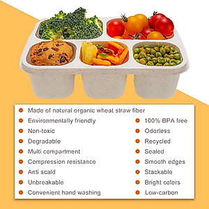 Bento Box Adult Lunch Box, 4 Pack Lunchable Containers for Adults with 5 Compartments, Meal Prep Containers Reusable for Kids, Food Storage Snack Containers for School, Work, Travel