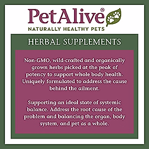 PetAlive Pancreas Booster - All Natural Herbal Supplement for Pancreatic Health and Digestive Functioning in Cats and Dogs - Supports Healthy Insulin Production - 60 Veggie Caps