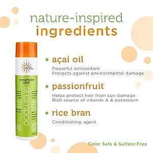 EARTH SCIENCE - CERAMIDE CARE: Curl & Frizz Control Conditioner for Normal To Dry Hair (10 oz.)