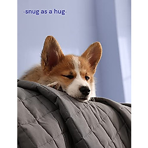 YnM Exclusive 15lbs Weighted Blanket, Smallest Compartments with Glass Beads, Bed Blanket for One Person of 140lbs, Ideal for Twin or Full Bed (48x72 Inches, 15 Pounds, Dark Grey)