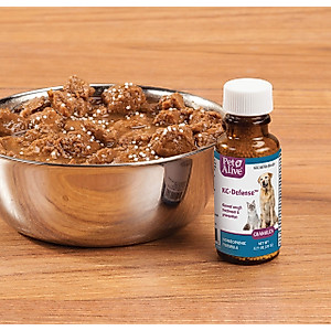 Native Remedies 352411 PetAlive® RespoCough Protect ComboPack for Pets