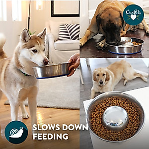 OurPets DuraPet Slow Feed Premium Stainless Steel Dog Bowl, Silver (2040010301)