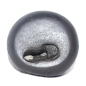 Krishna Shaligram/Santan Gopal Shaligram
