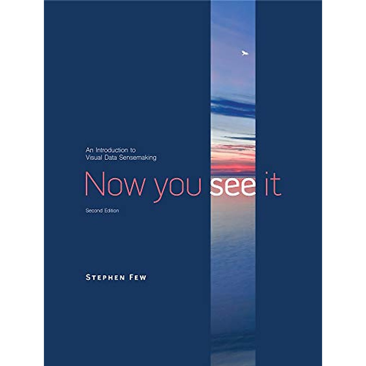 Now You See It: An Introduction to Visual Data Sensemaking