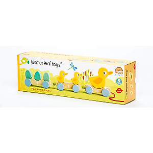 Tender Leaf Toys - Pull Along Ducks - Classic Wooden Pull Along Toy - 9pc Duck Family Set with 1 Mother Duck, 2 Baby Ducks, 3 Eggs and 3 Cars - Encourages Number Learning - 18Mths+