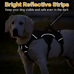 rabbitgoo Escape Proof Dog Harness, Soft Padded Full Body Pet Harness, Reflective Adjustable No Pull Vest with Lift Handle and Leash Clip for Large Dogs Walking Hiking Training, L, Black
