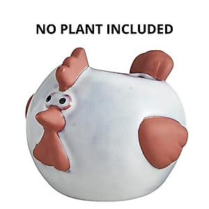Needzo Round Succulent Planter Farmhouse Chic Ceramic Pig Shaped Plant Holder, Home Garden Office Desktop Decoration Small Flower Pot, 2.8 inches
