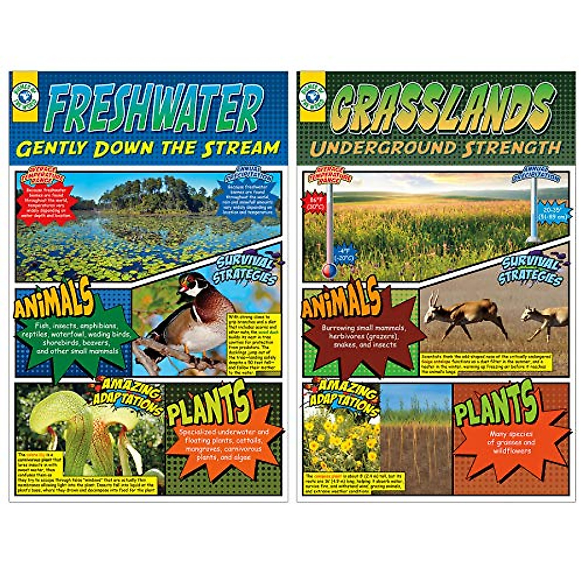 NORTH STAR TEACHER RESOURCE Biomes Bulletin Board Set
