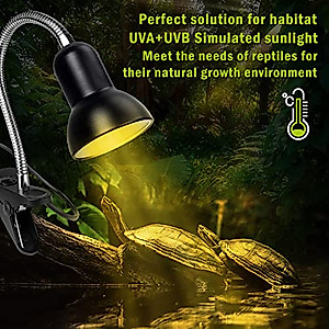 50W Timeable Reptile Heat Lamp, Set of 2 Bulbs and 1 Hygrometer, Basking Spot Lamp with 360°Rotatable Arm & Heavy-Duty Clamp for for Lizard Turtle Snake Amphibian