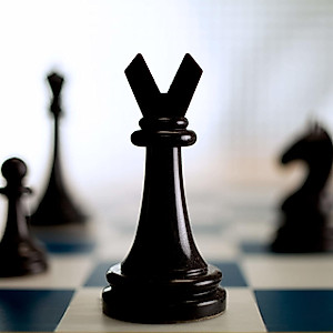 Faerie Chess - Play Classic Chess with New Pieces - Rediscover The Family Strategy Board Game - 32 Traditional Chess Pieces for Beginners, 28 Custom Pieces with New Rules for Advanced Play