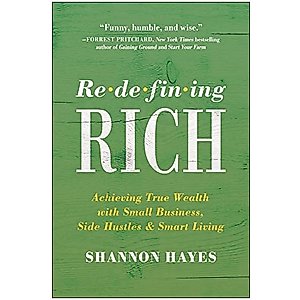 Redefining Rich: Achieving True Wealth with Small Business, Side Hustles, and Smart Living